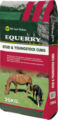 Equerry Horse Feeds - Products
